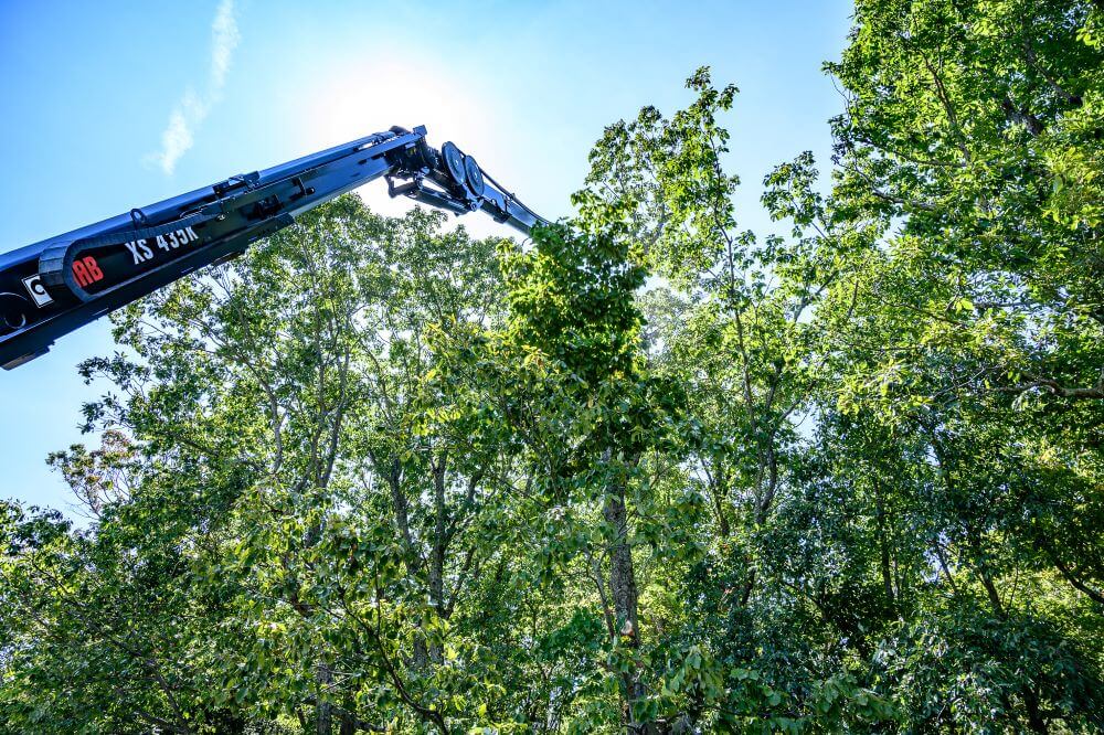 Knuckle Boom Crane Tree Removal | Product Application Overview | Hiab