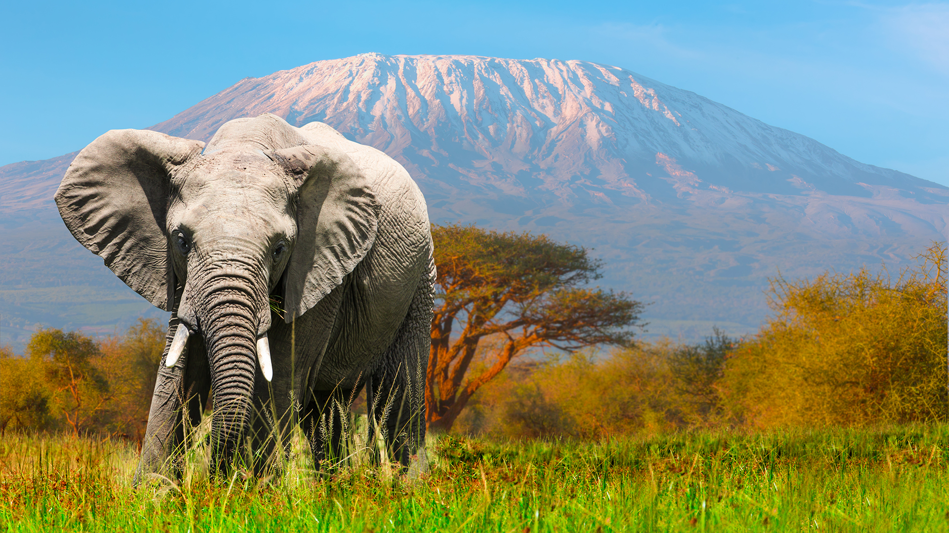 Our Range of MOFFETT Forklifts – Simple & Efficient | Our Brands | Hiab