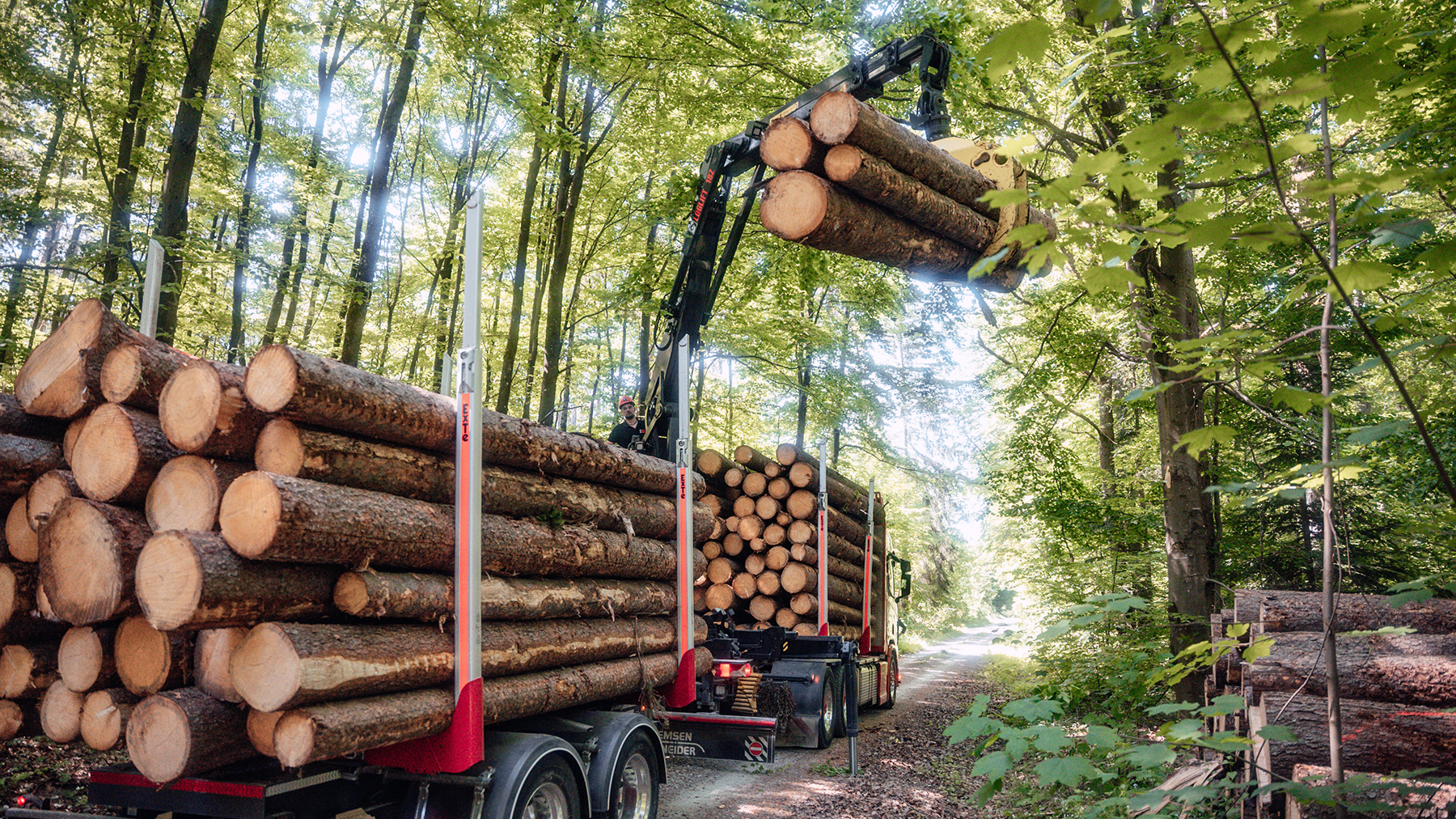Hiab launches next generation LOGLIFT forestry cranes | Hiab News Room ...