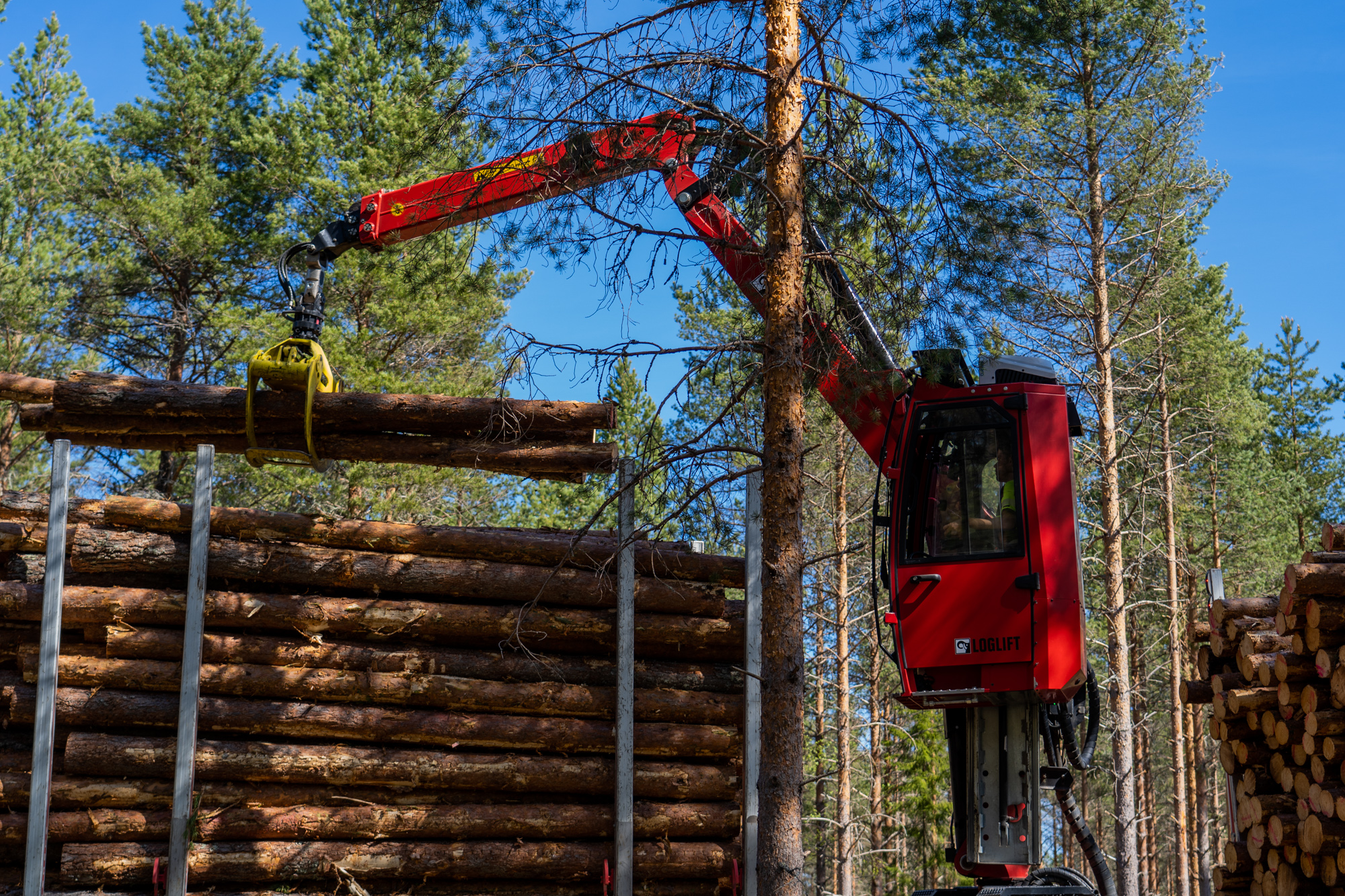 LOGLIFT: Your Partner for Efficient Forestry Log Lifting | Our Brands ...