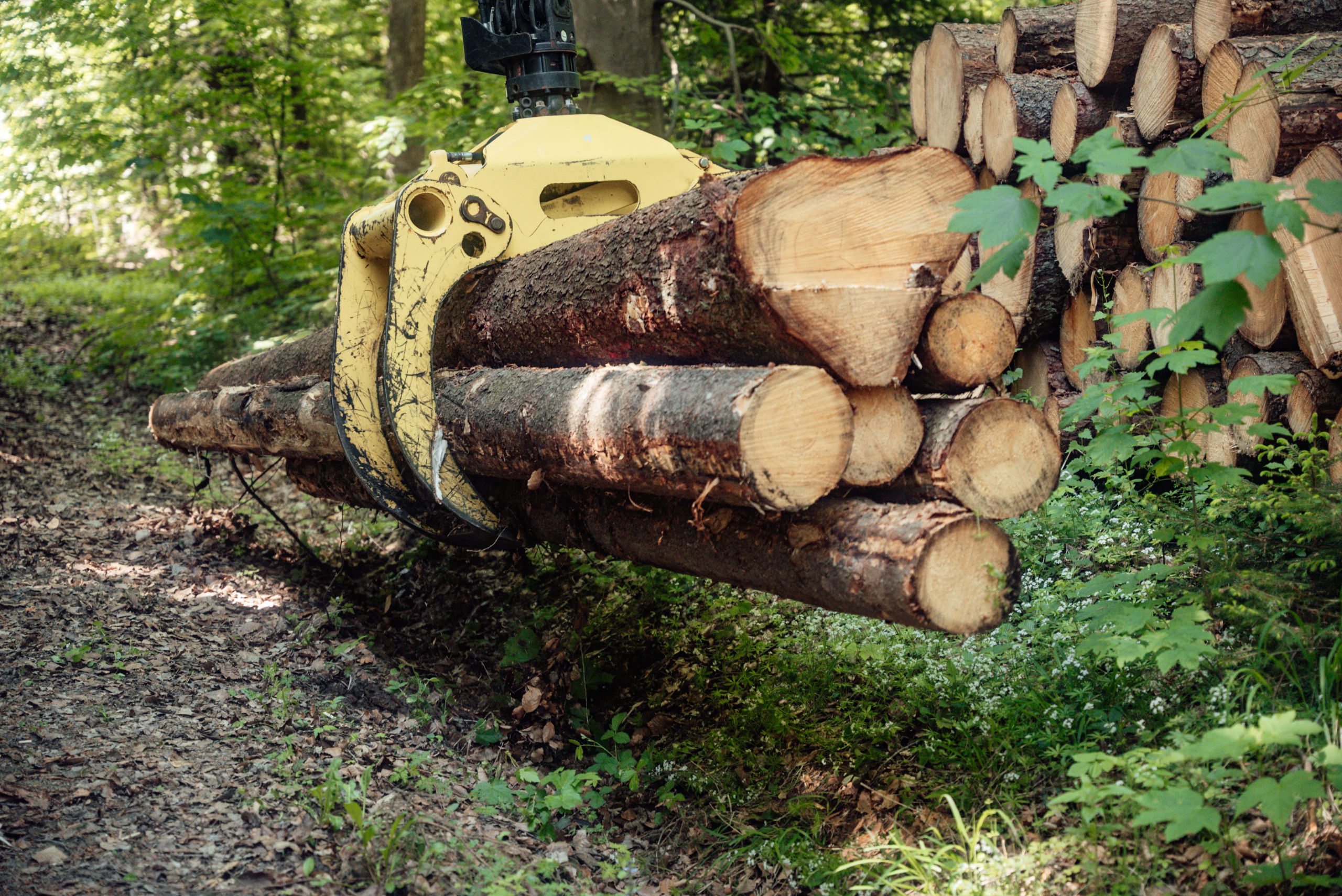 Reliable Forestry Cranes for Tough Conditions | Products | Hiab