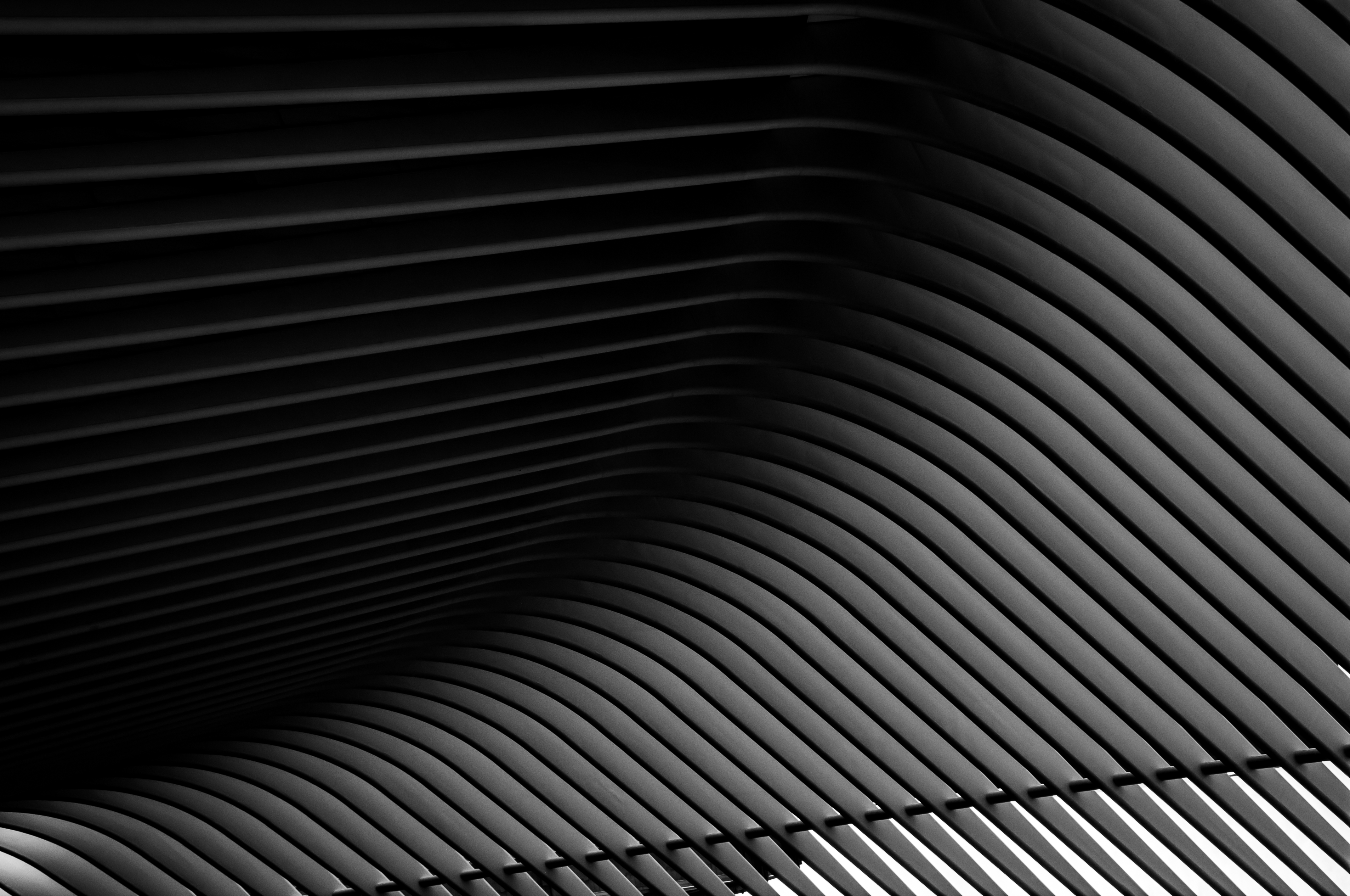 Reliable Forestry Cranes for Tough Conditions | Products | Hiab