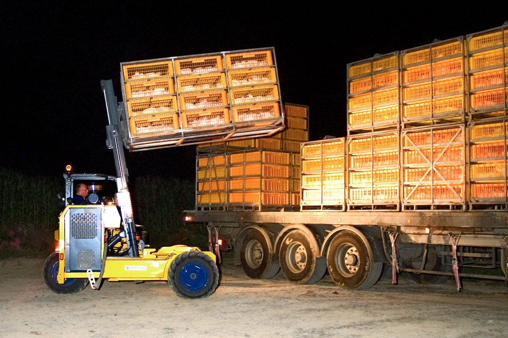 Poultry Farming Equipment - Truck Mounted Forklifts | Truck Mounted ...